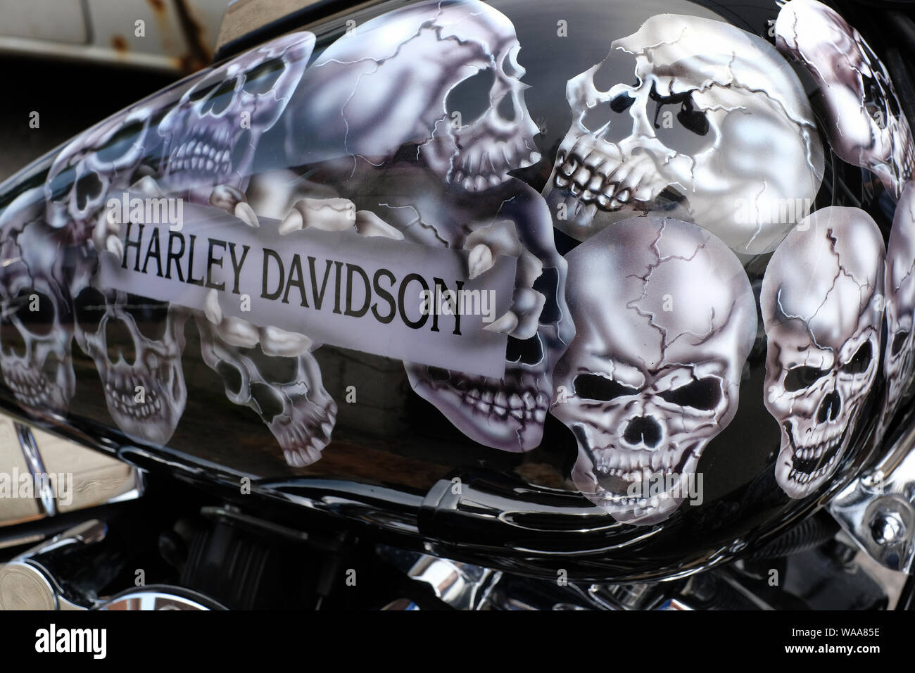 Harley skull hi-res stock photography and images - Alamy Harley skull hi-res stock photography and images - Alamy