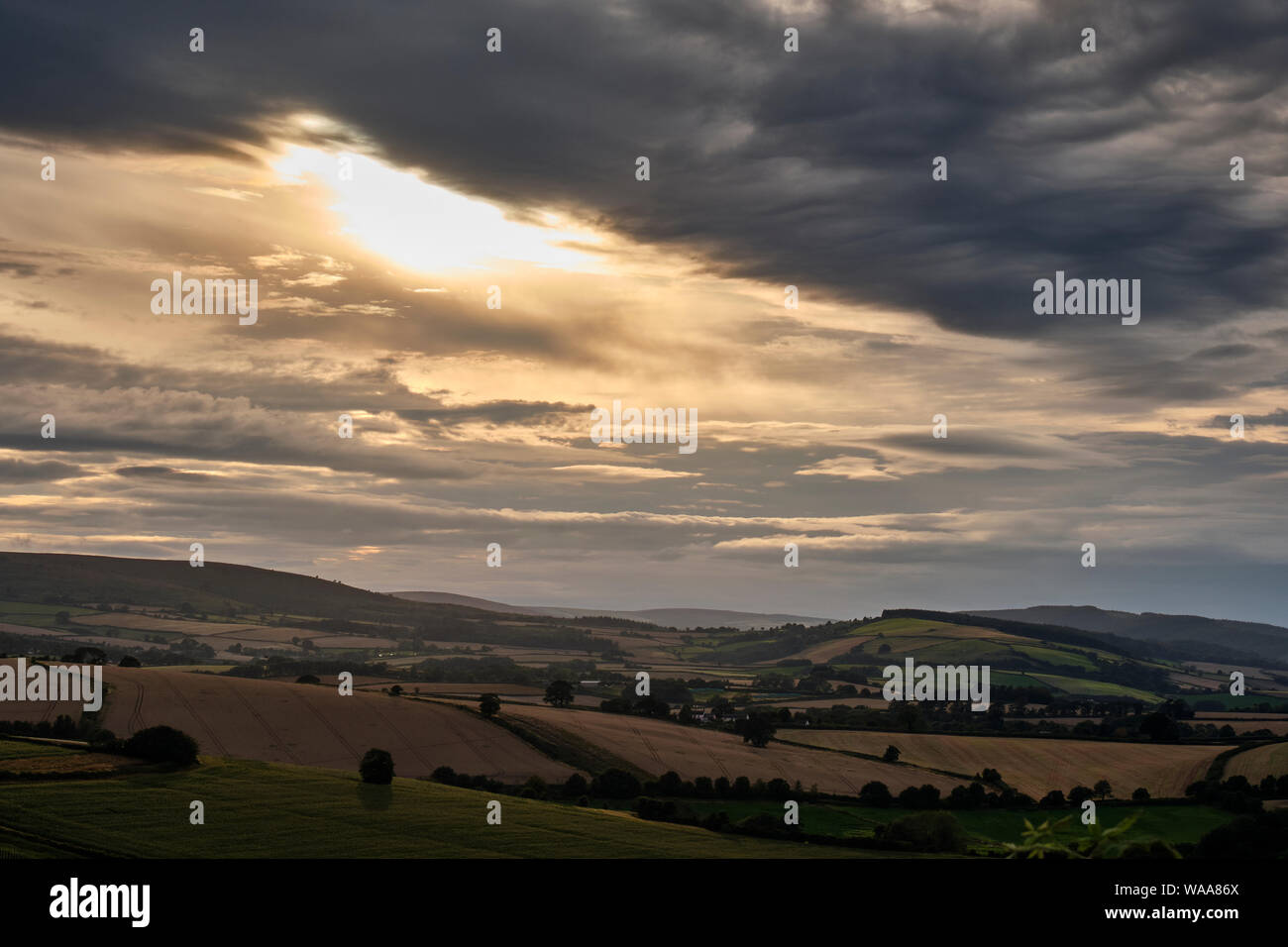 Withycombe common hi-res stock photography and images - Alamy