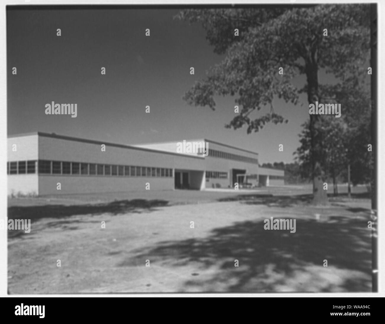 The ciba Black and White Stock Photos & Images - Alamy