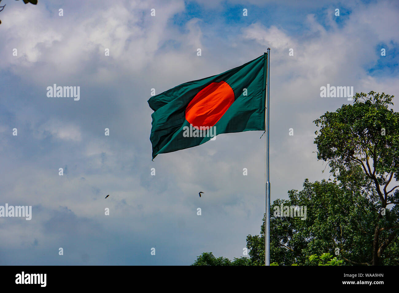 Bangladesh National Flag Hd