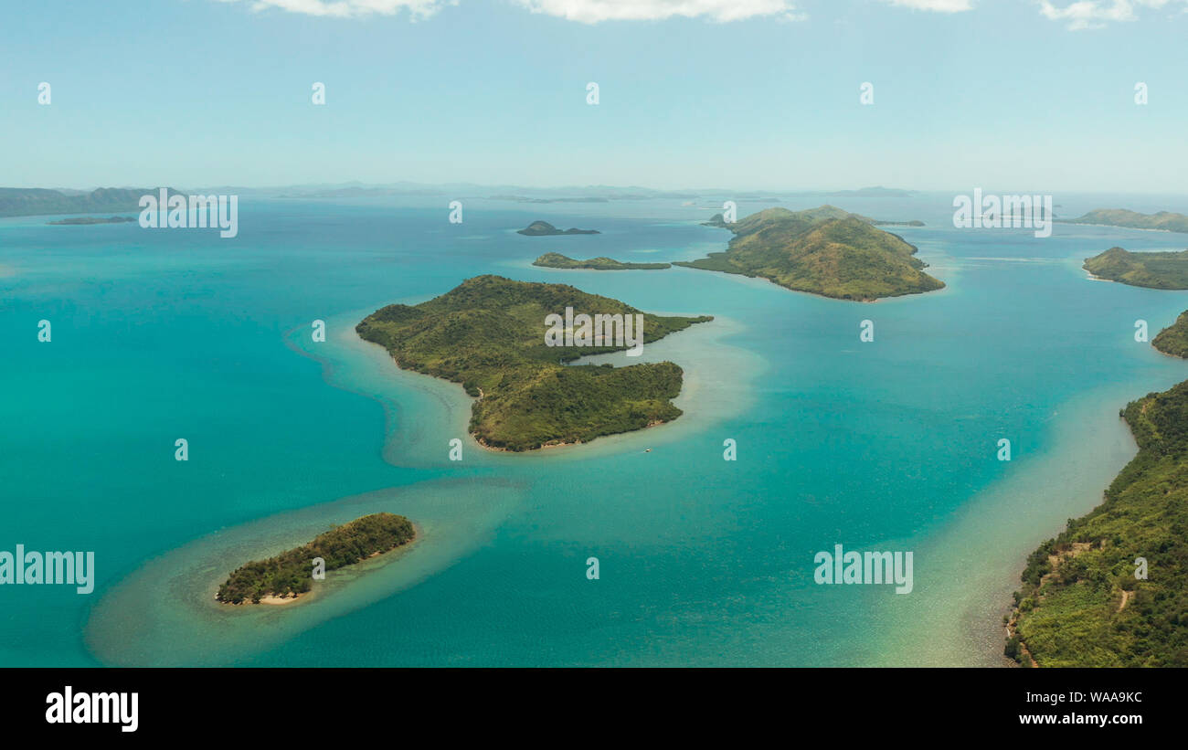 Palawan province forest hi-res stock photography and images - Alamy