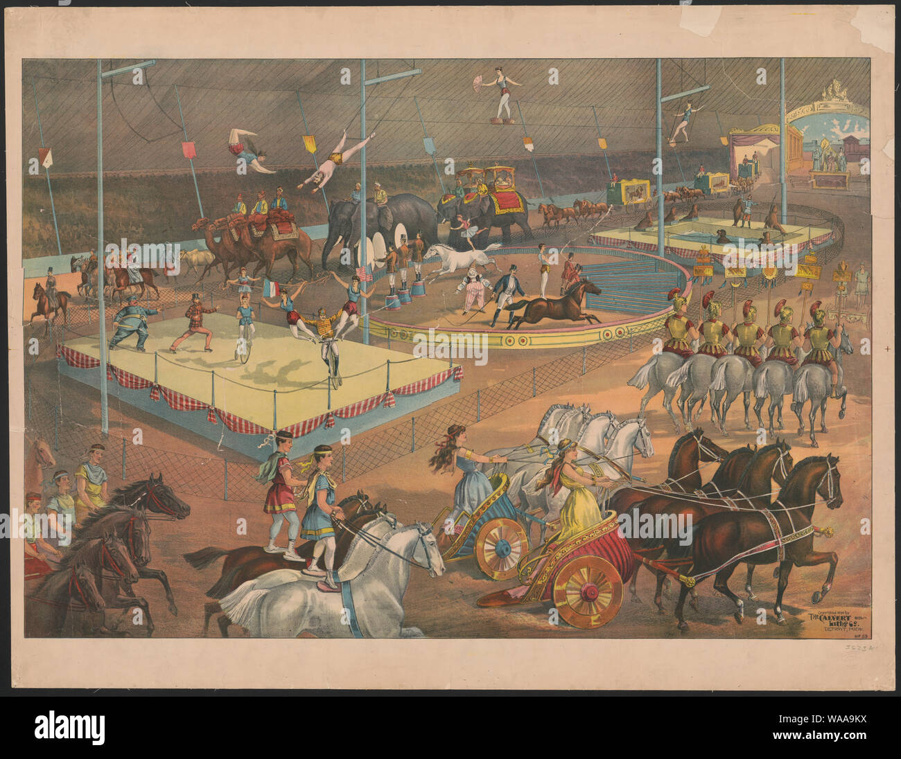 Public circus show hi-res stock photography and images - Alamy