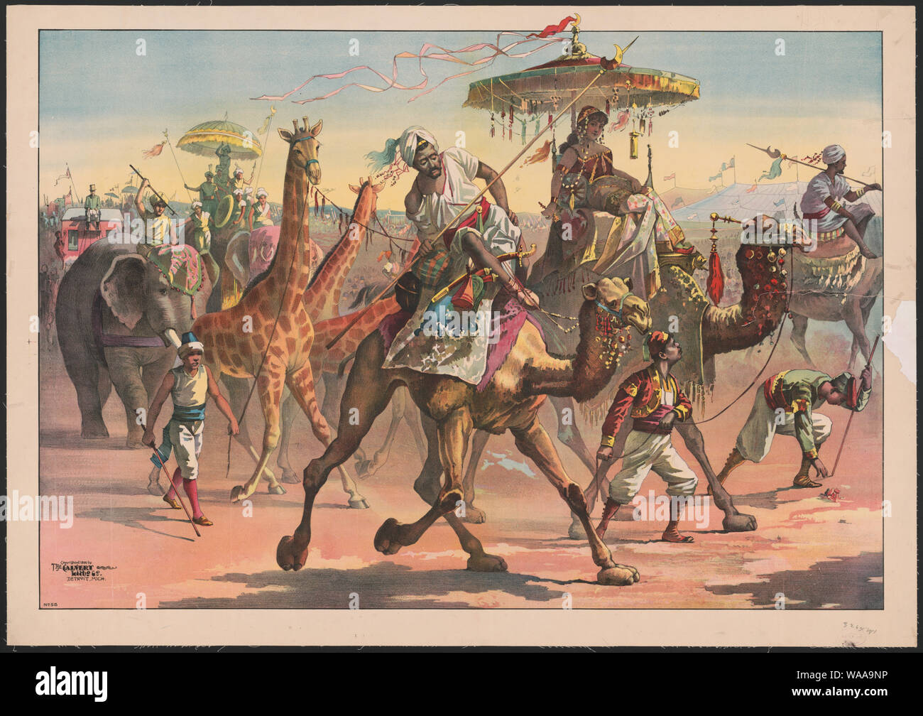 Circus troupe with people in exotic dress riding camels, giraffes ...