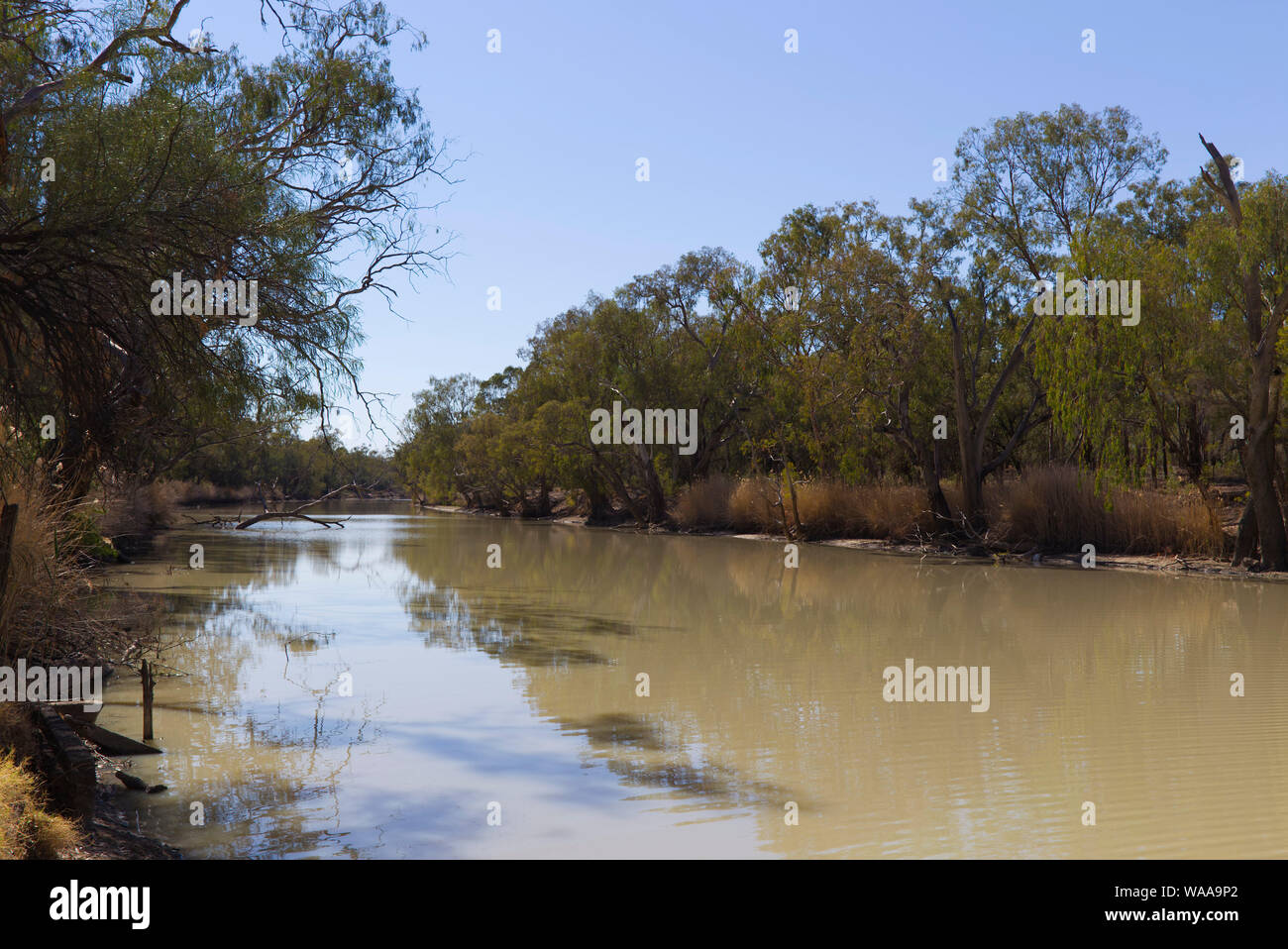 Barwon River as it passes through Collarenebri New South Wales ...