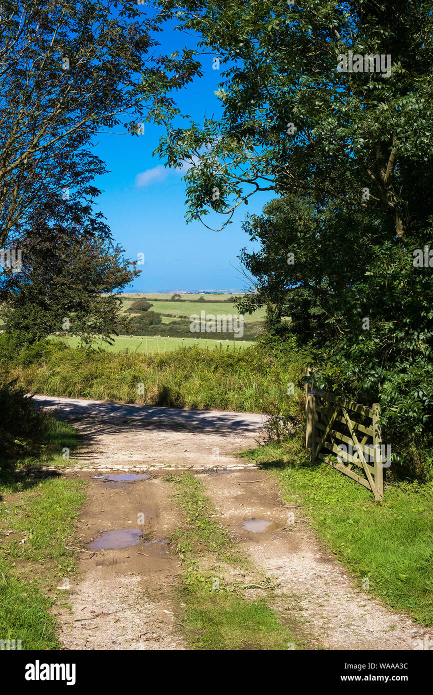 The Cornish countryside near Newquay Cornwall Stock Photo - Alamy