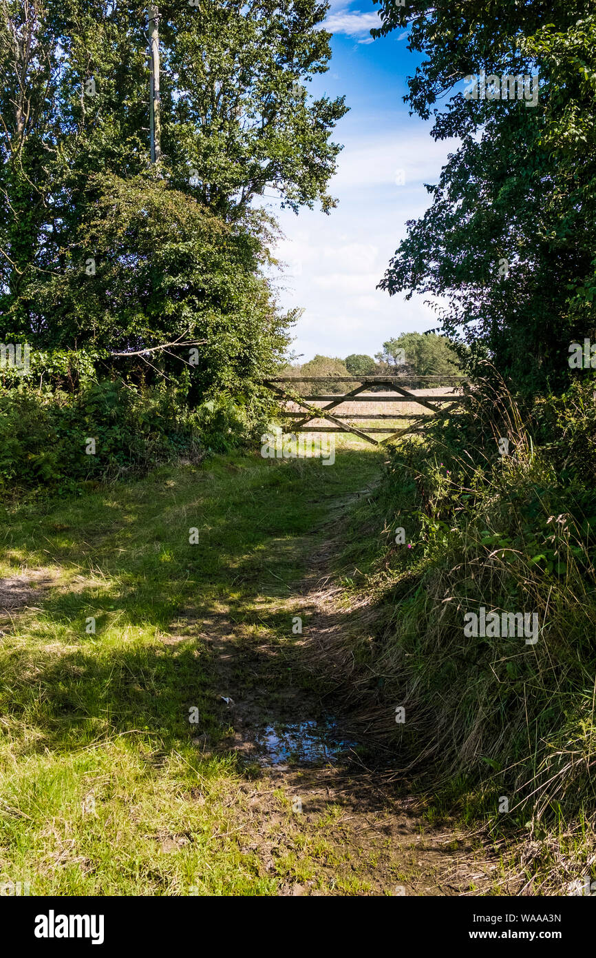 Gate in the field hi-res stock photography and images - Alamy