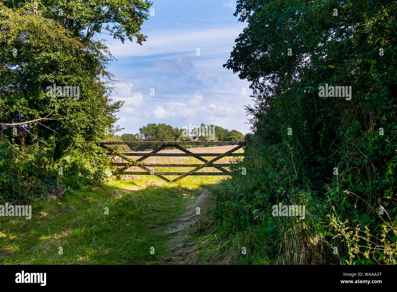 Gate in the field hi-res stock photography and images - Alamy