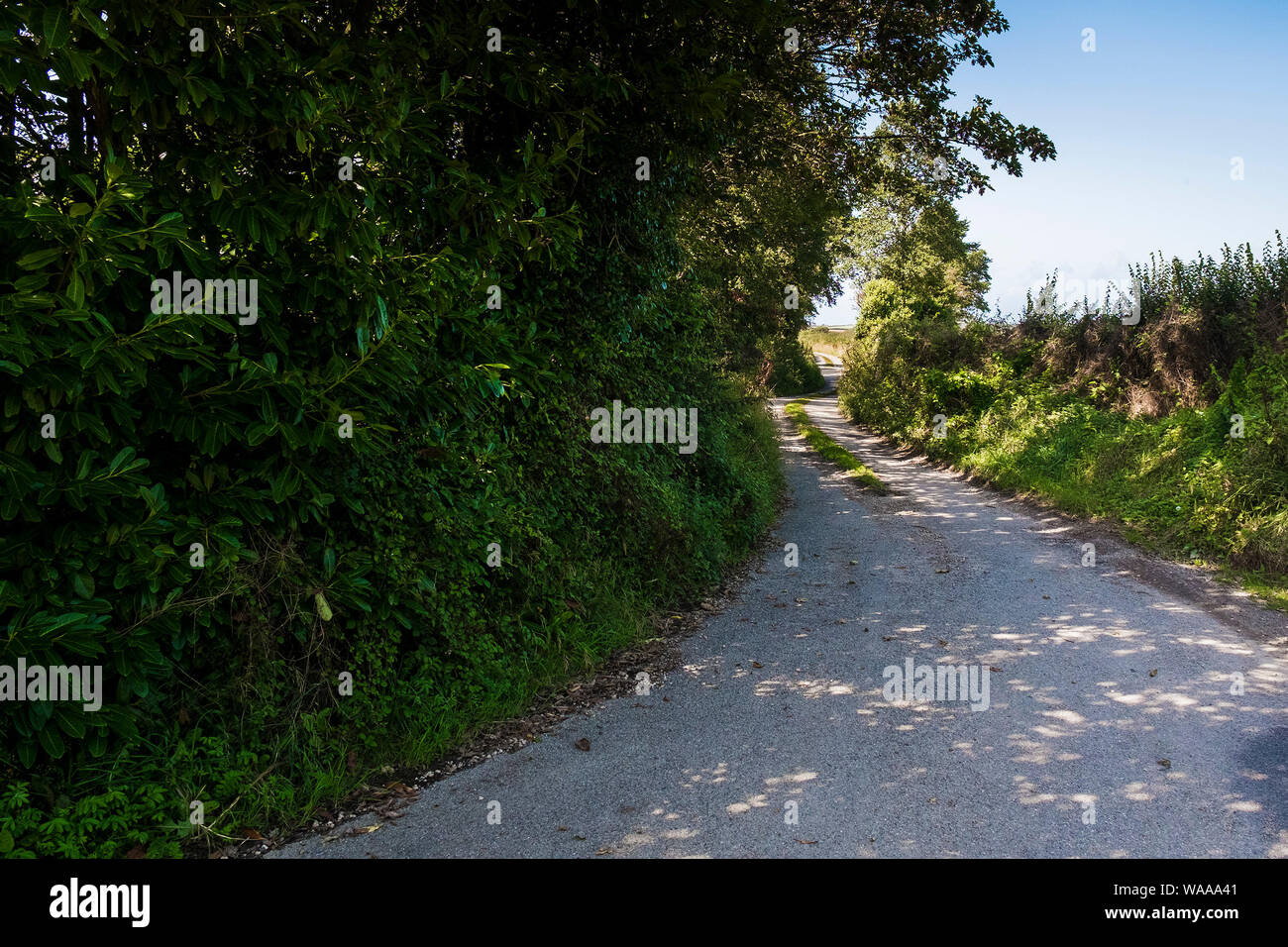 Rural country lane hi-res stock photography and images - Alamy