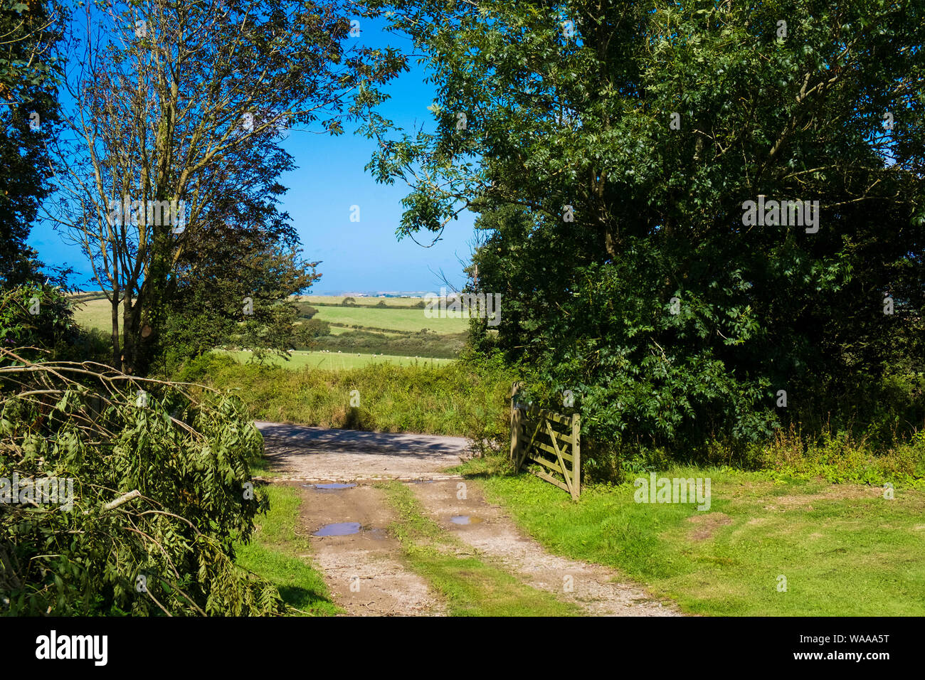 Countryside gates hi-res stock photography and images - Alamy