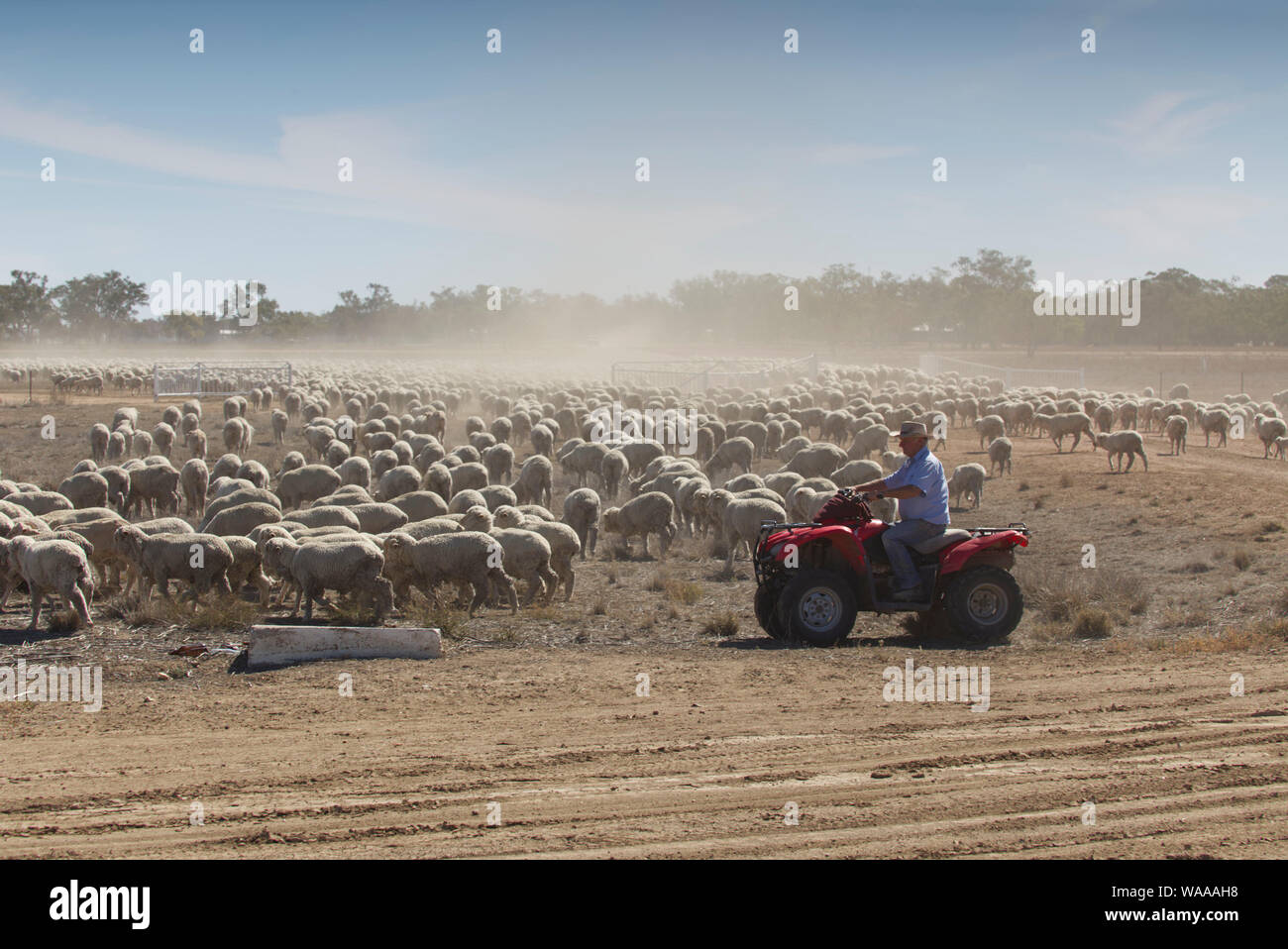 Quad bike farm australia hi-res stock photography and images - Alamy