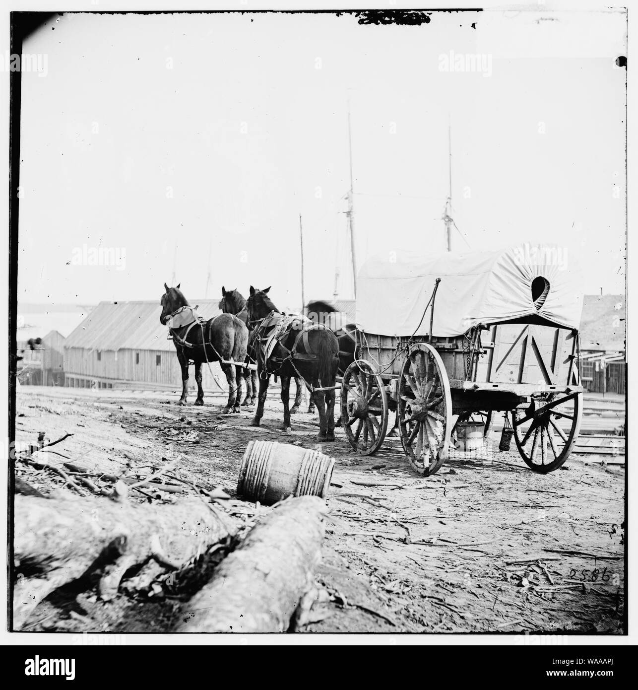 City team Black and White Stock Photos & Images - Alamy