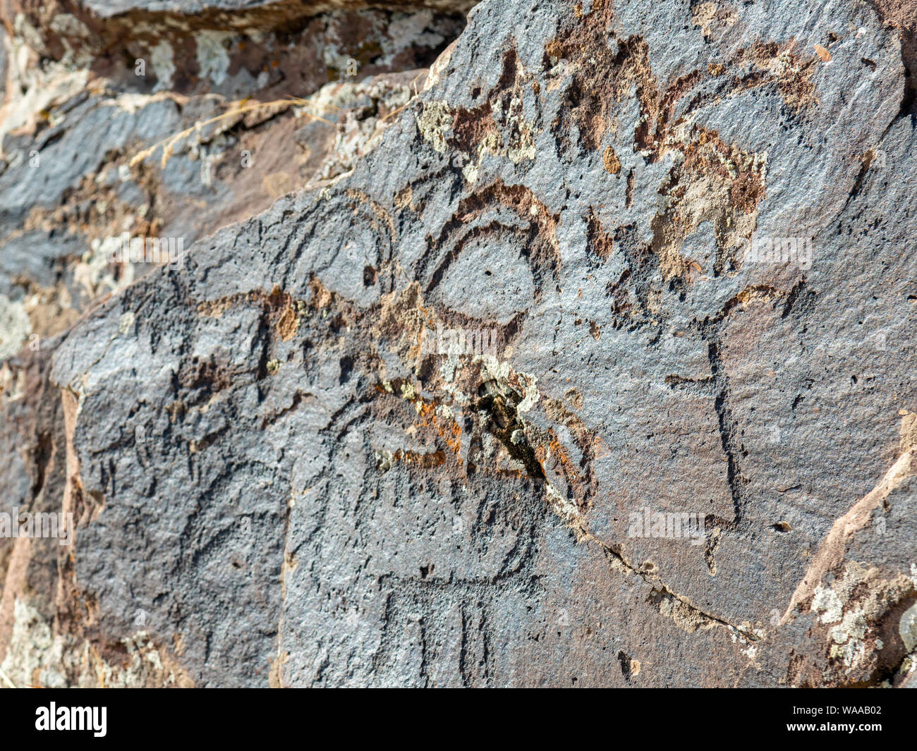 ancient cave paintings. petroglyphs in the wild Stock Photo - Alamy