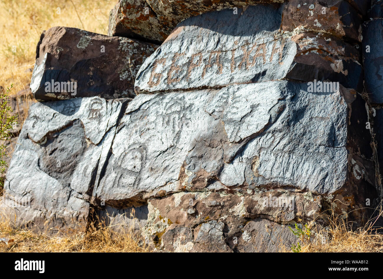 ancient cave paintings. petroglyphs in the wild Stock Photo - Alamy