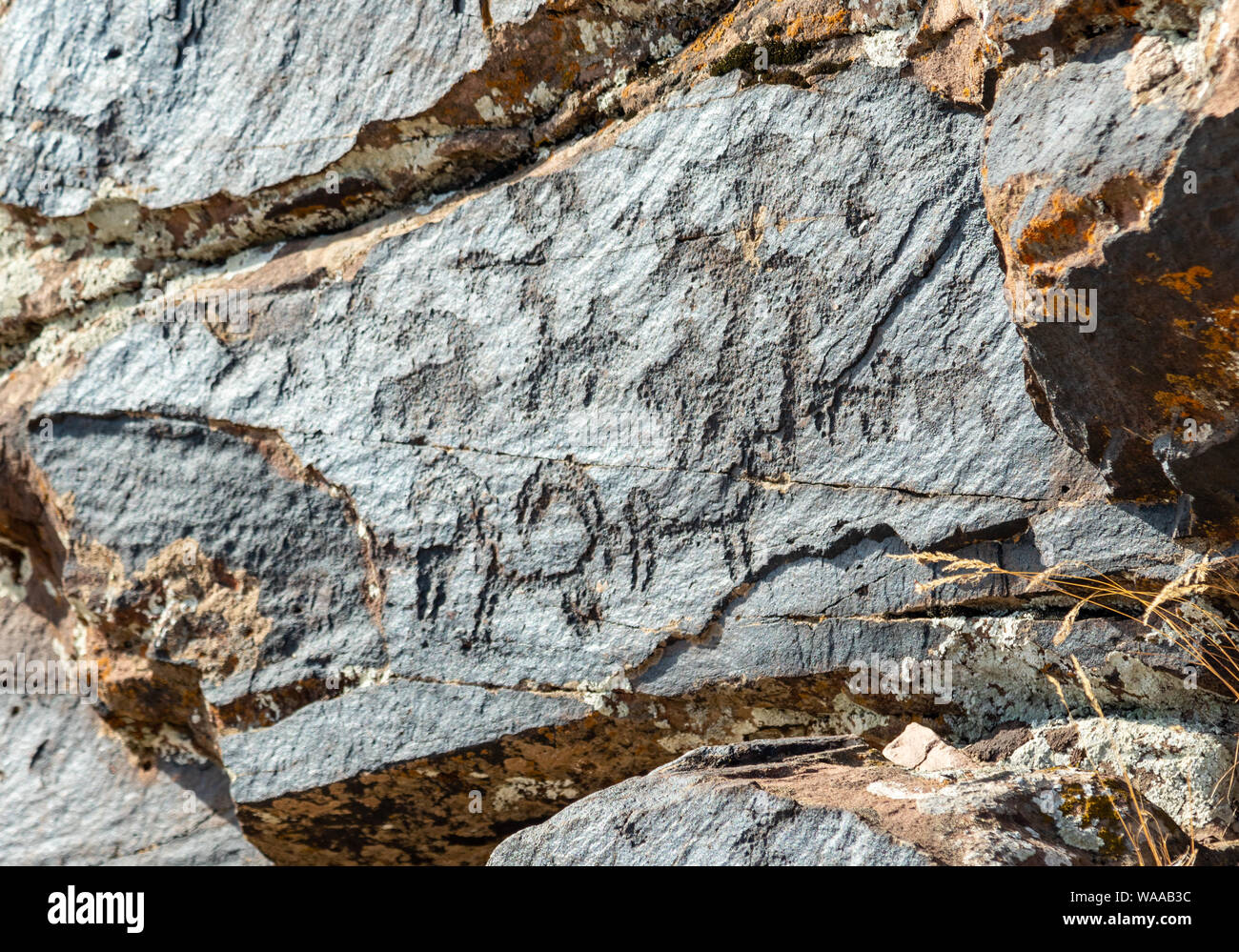 ancient cave paintings. petroglyphs in the wild Stock Photo - Alamy