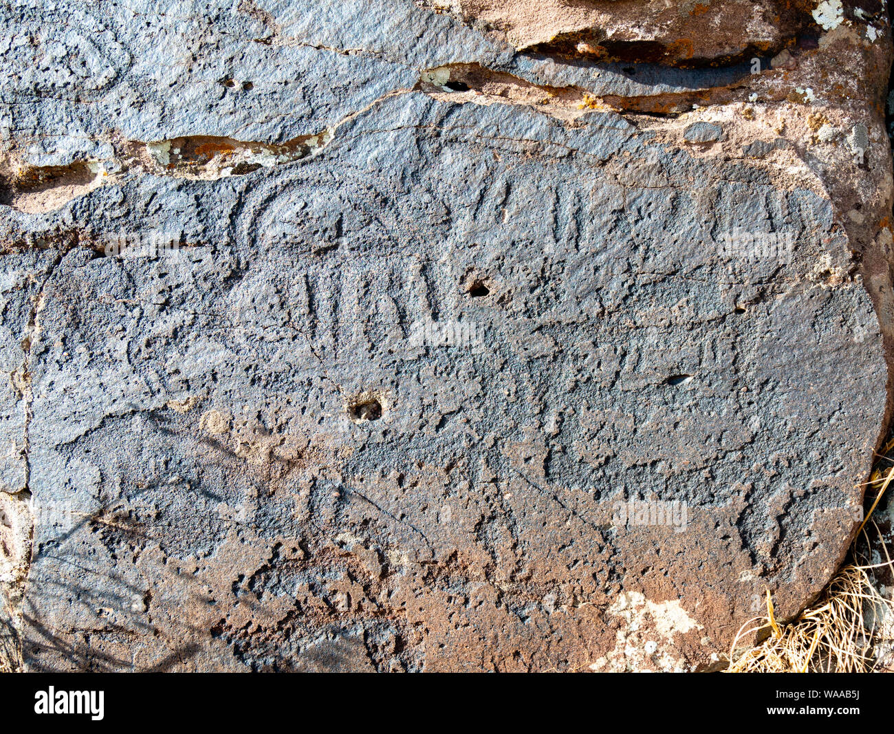 ancient cave paintings. petroglyphs in the wild Stock Photo - Alamy