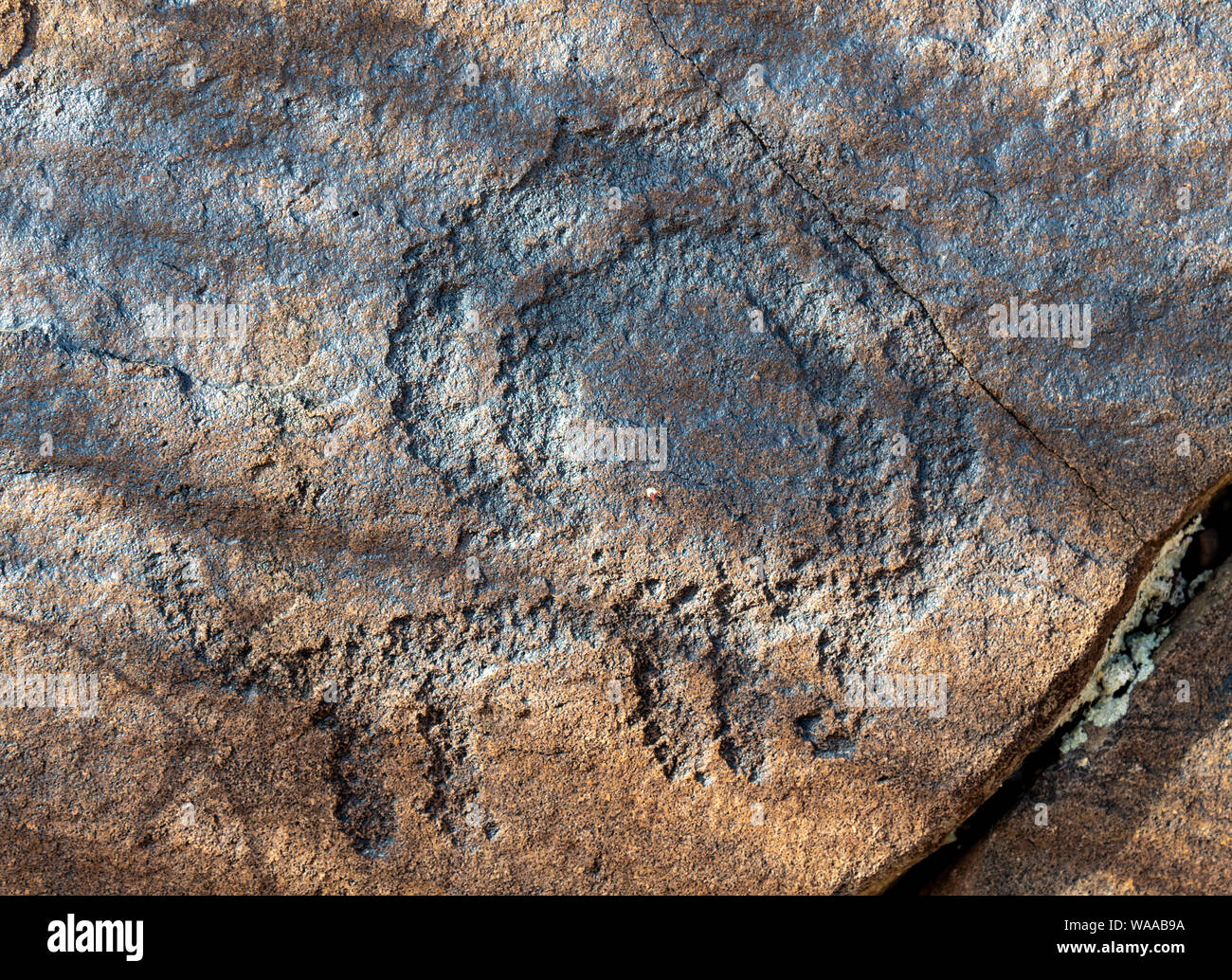 ancient cave paintings. petroglyphs in the wild Stock Photo - Alamy
