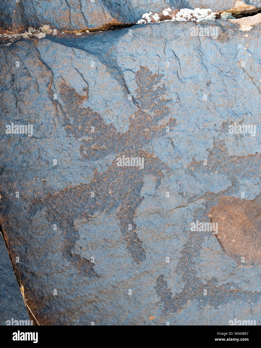 ancient cave paintings. petroglyphs in the wild Stock Photo - Alamy