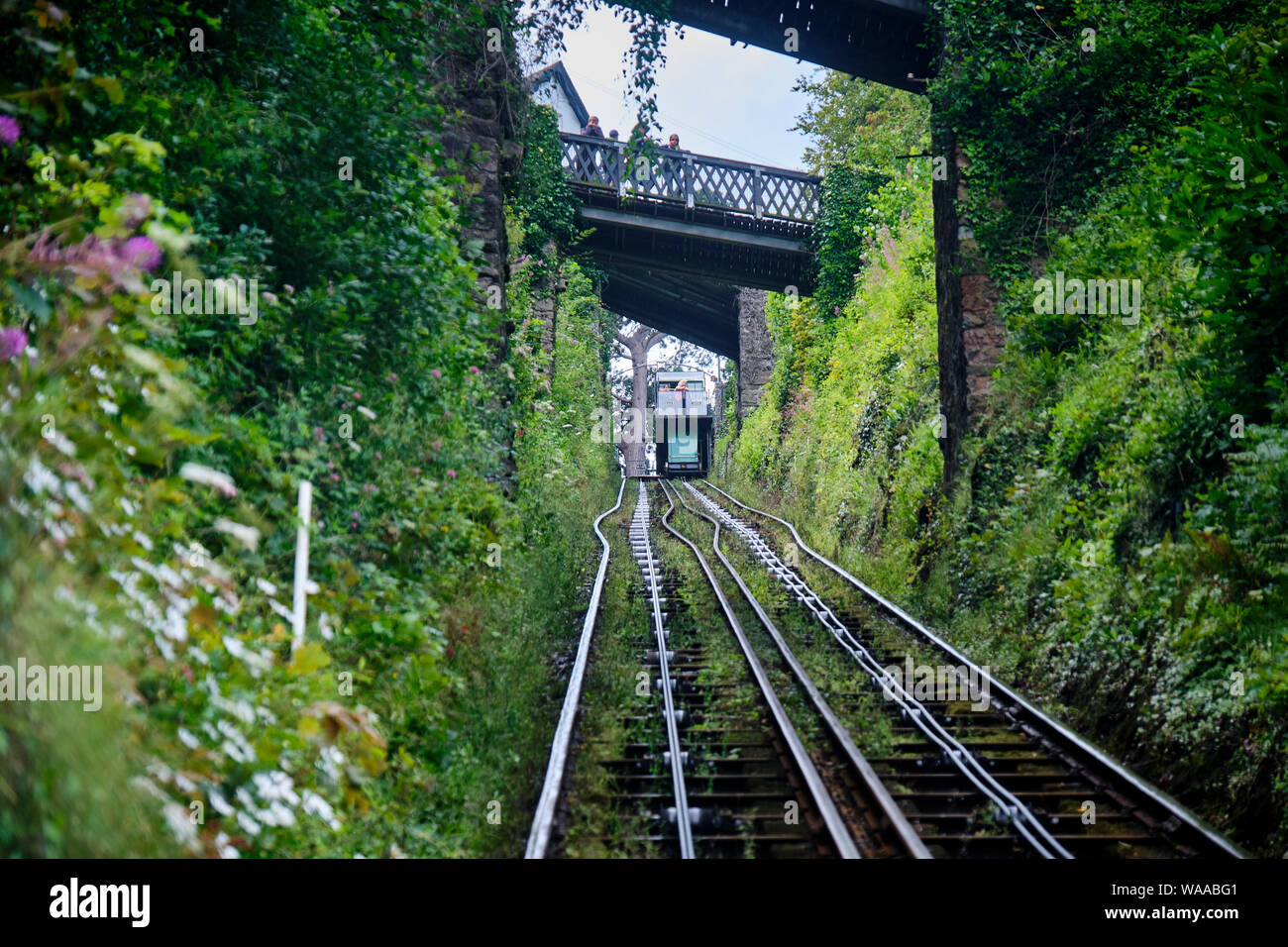 The Lynton and Lynmouth Cliff Railway, Lynton, Devon Stock Photo - Alamy