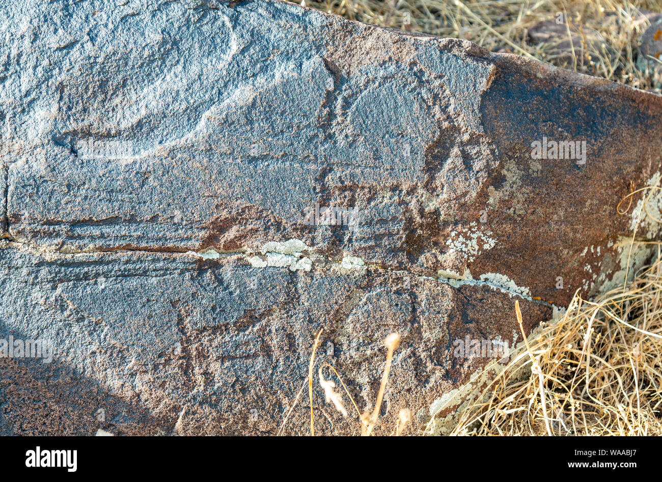 ancient cave paintings. petroglyphs in the wild Stock Photo - Alamy