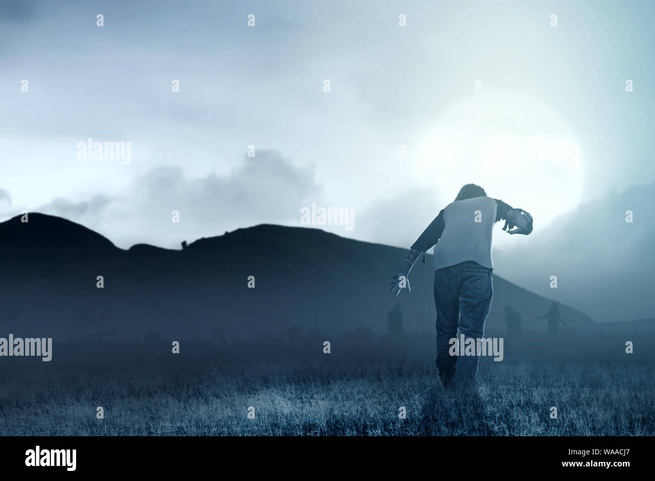 Grass field darkness creepy hi-res stock photography and images - Alamy