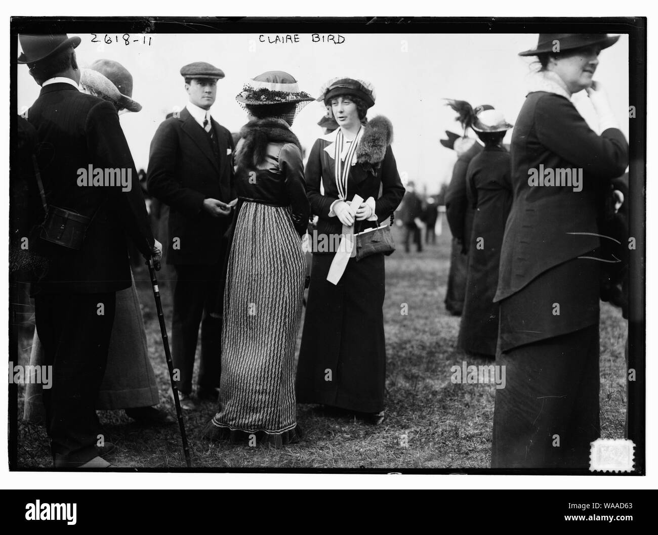 20th century bird art Cut Out Stock Images & Pictures - Alamy