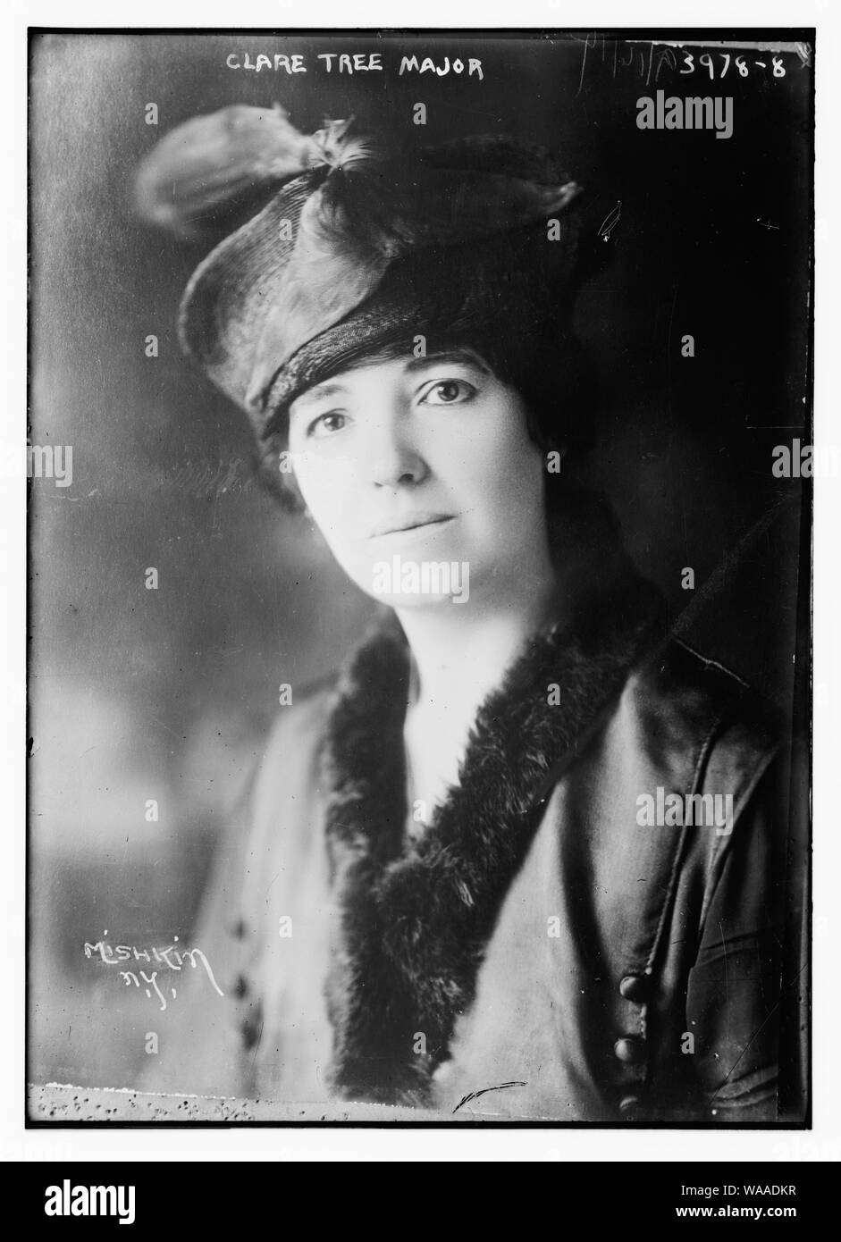 Major clare tree hi-res stock photography and images - Alamy