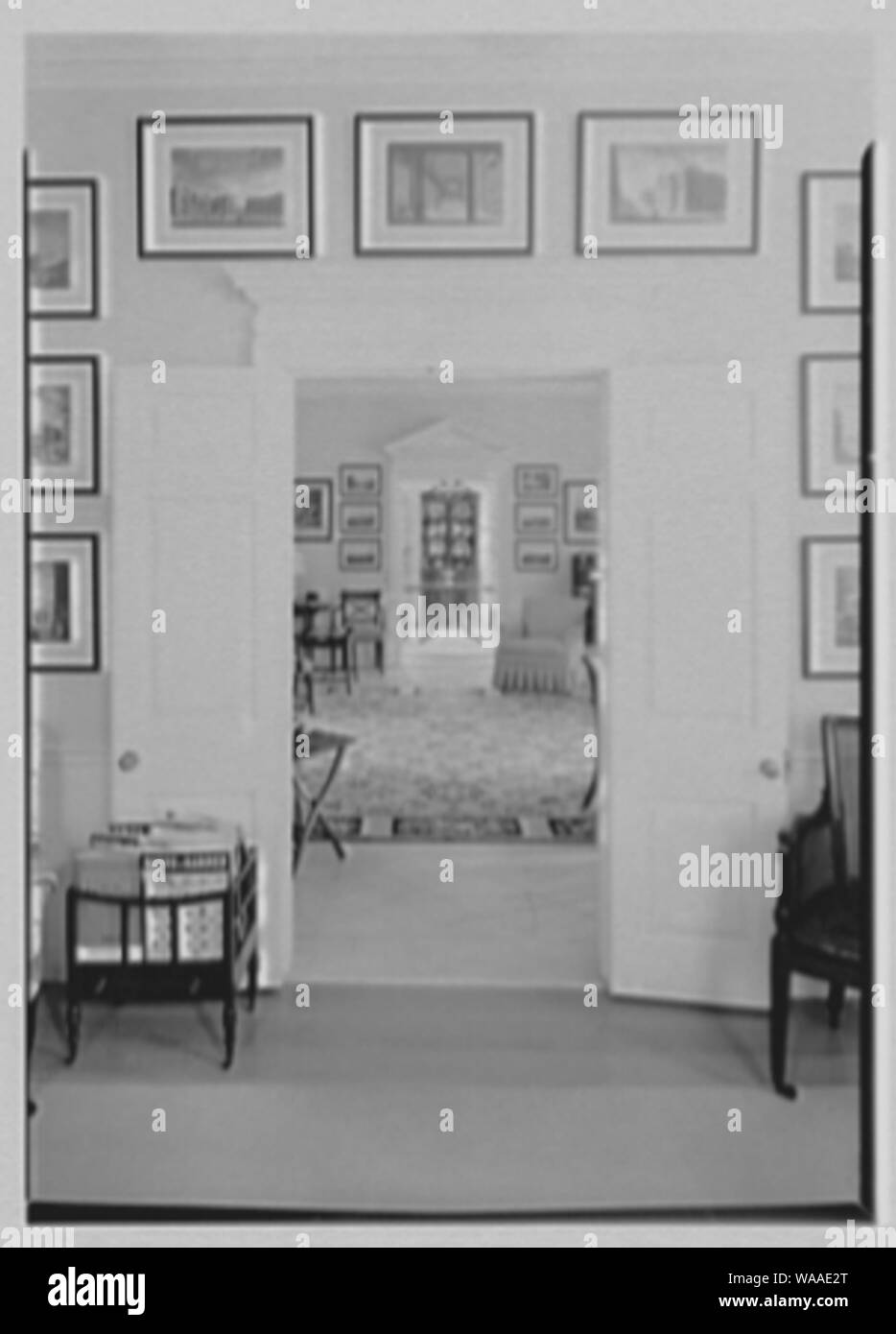 Florida landscaping Black and White Stock Photos & Images - Alamy