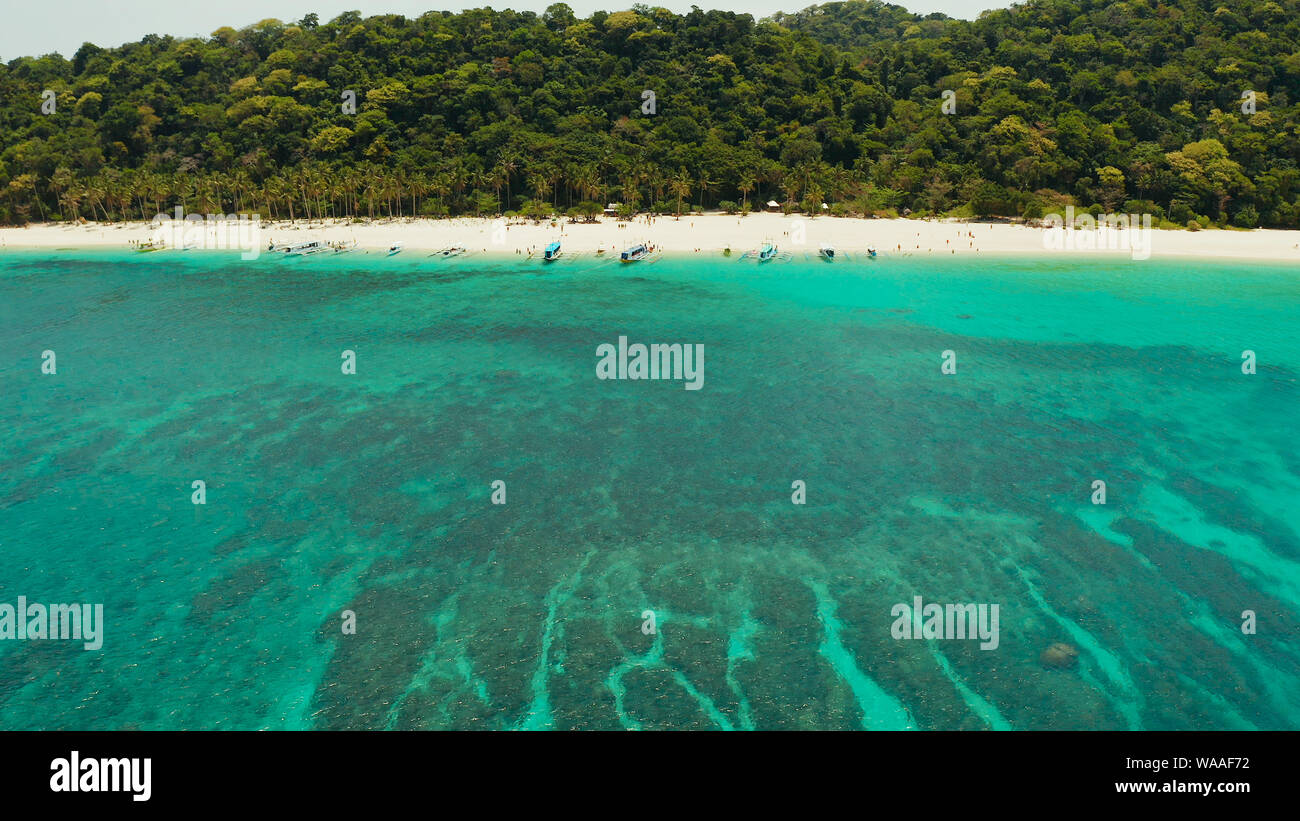 Puka trees hi-res stock photography and images - Alamy