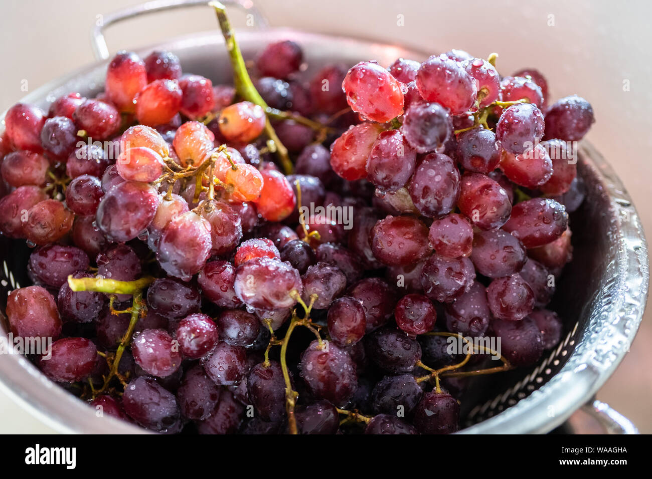 Washing organic red grapes in colendar Stock Photo - Alamy