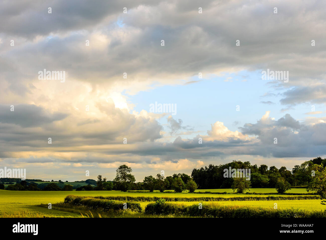 British landscape in summer hi-res stock photography and images - Alamy