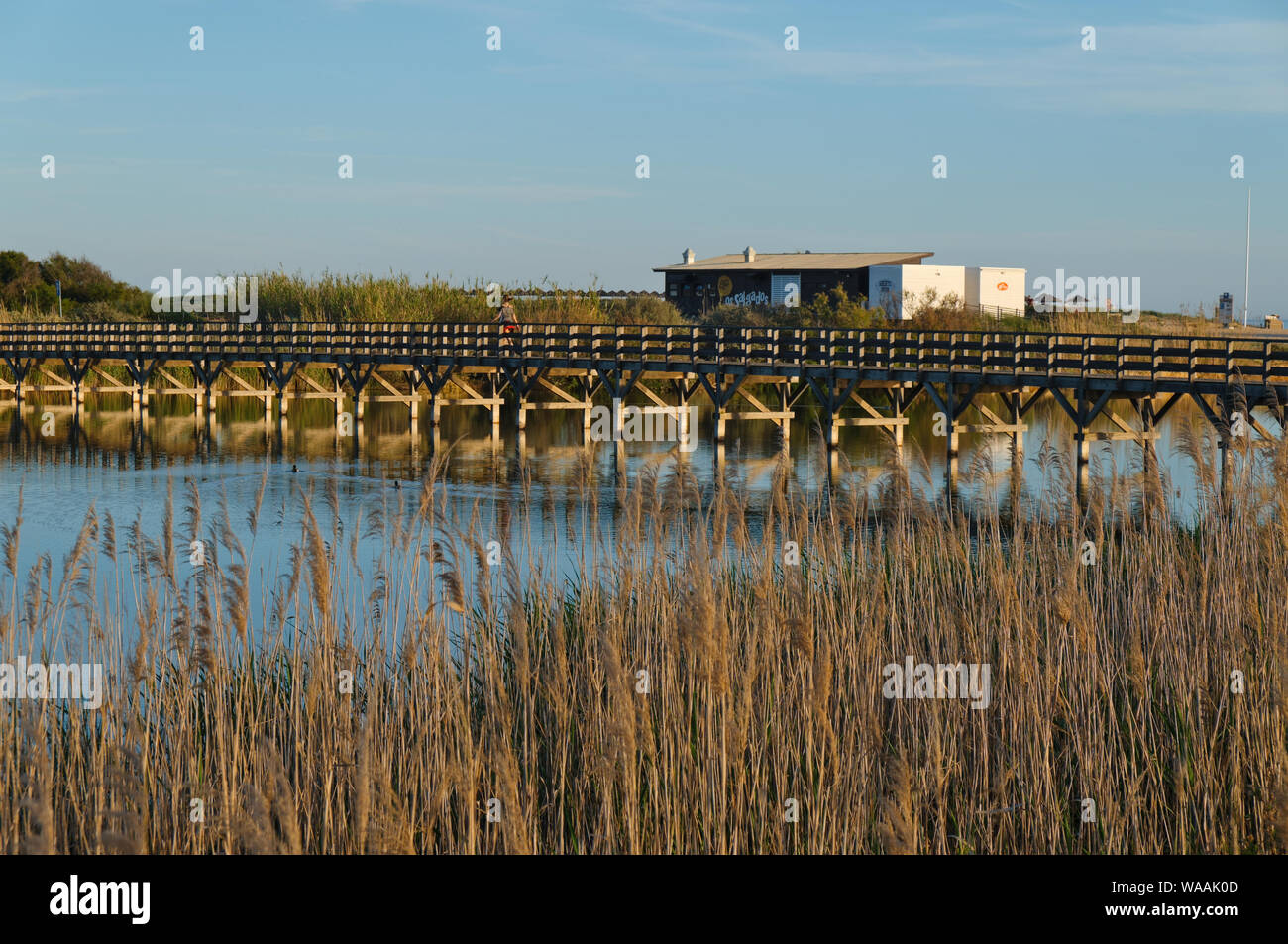 Herdade dos salgados hi-res stock photography and images - Alamy