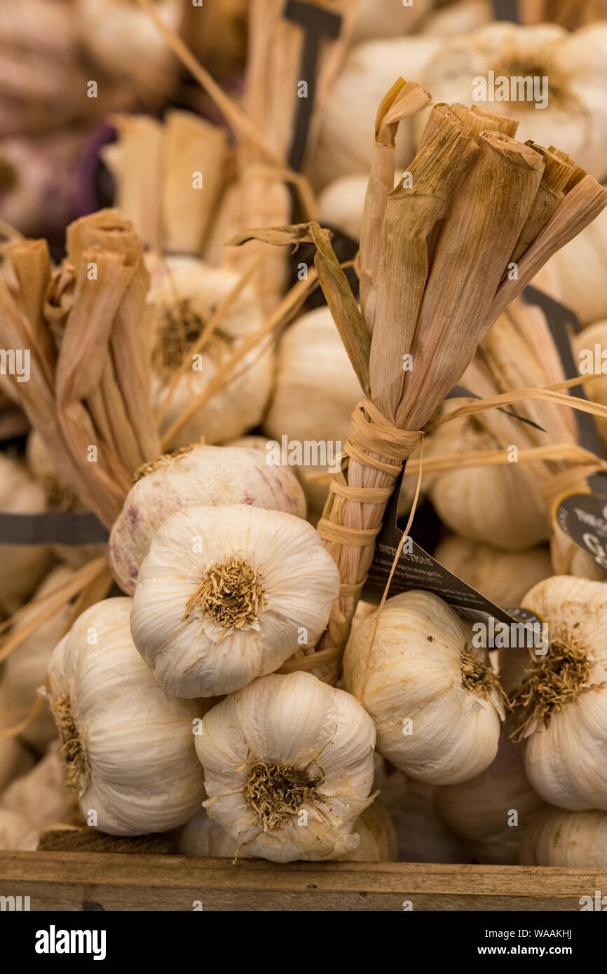 fresh garlic on show at a farmers market on the isle of wight garlic ...