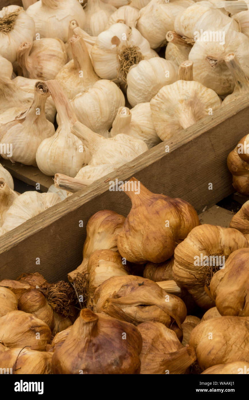 Isle of wight garlic farm hi-res stock photography and images - Alamy