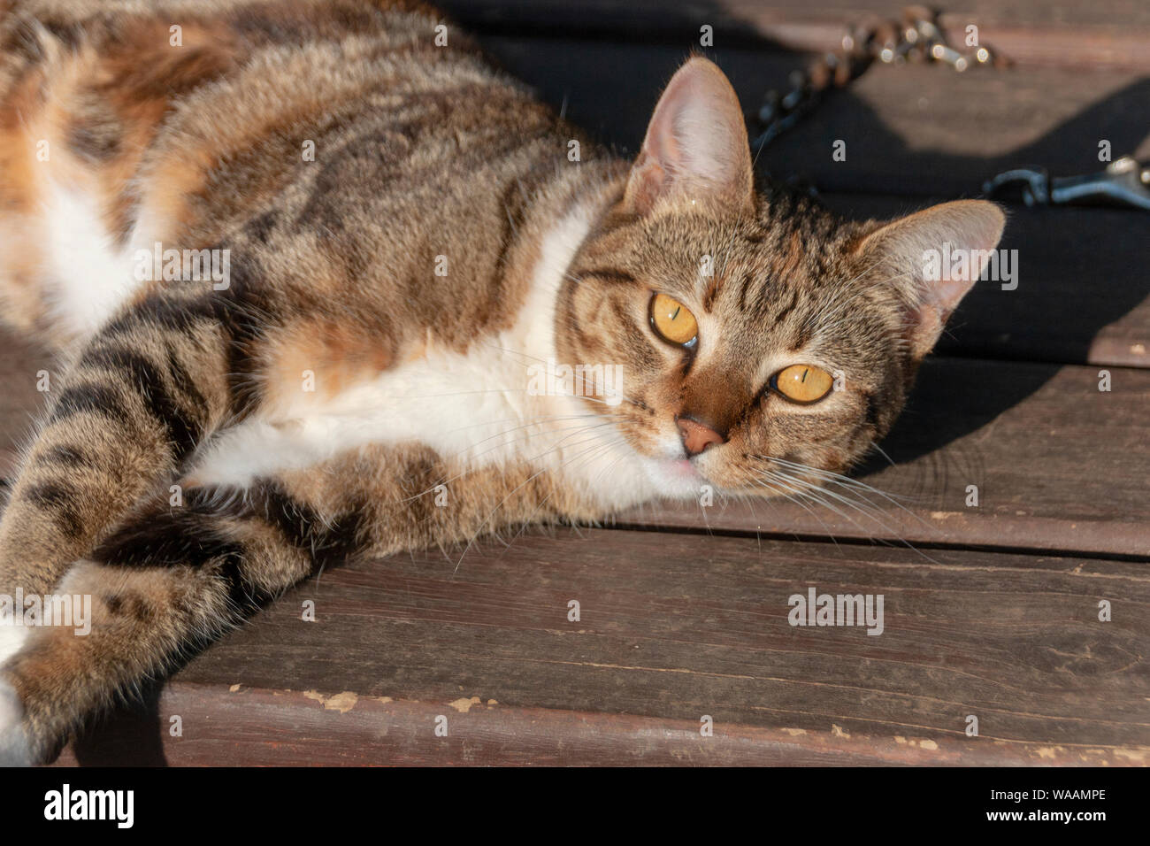 Rescud hi-res stock photography and images - Alamy