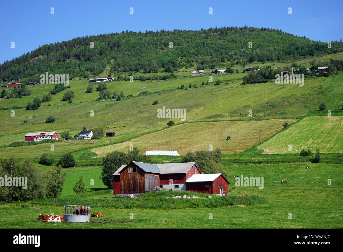 Farm houses in Norway Stock Photo - Alamy