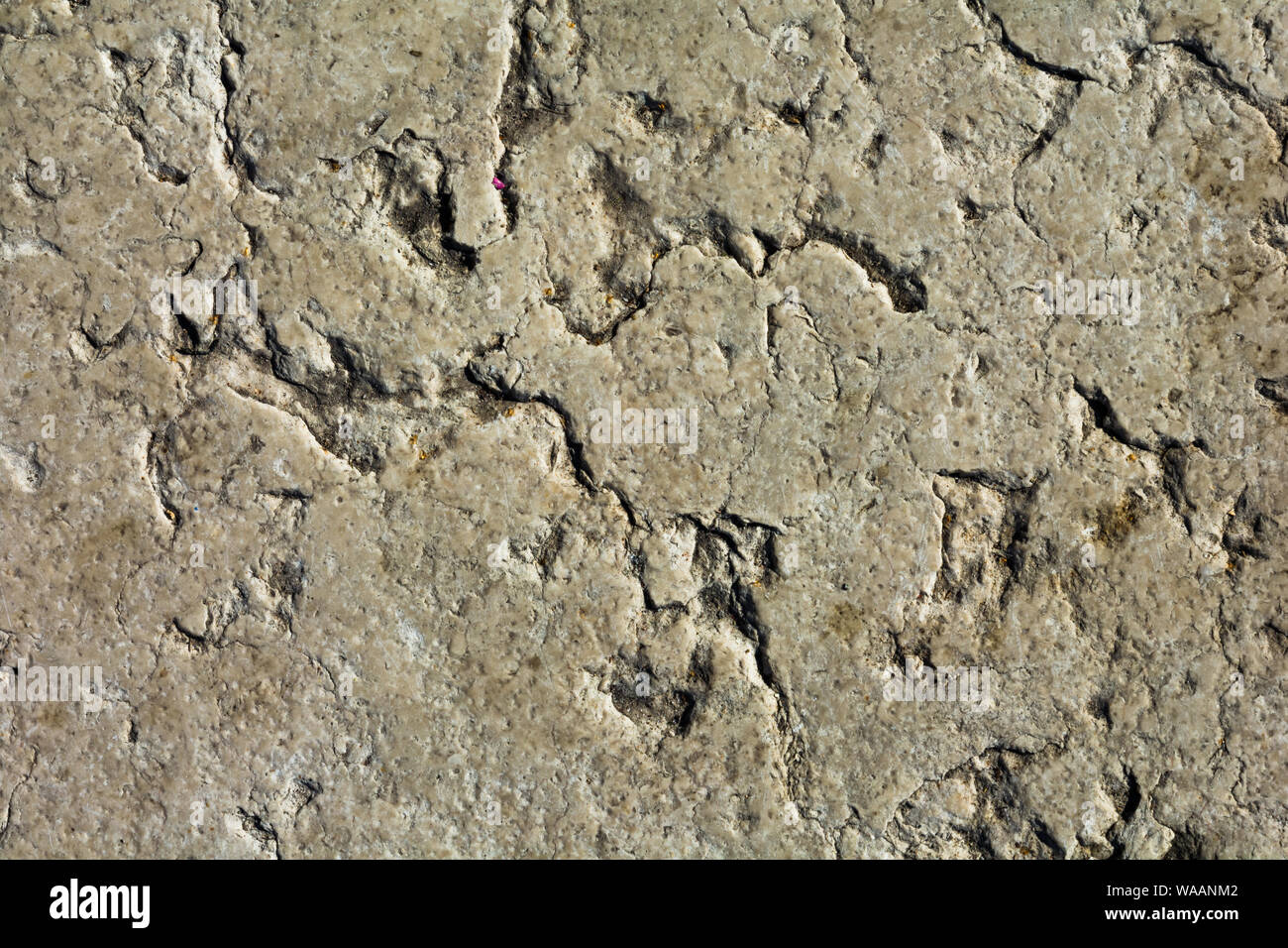 Polished sandstone, stone texture background Stock Photo - Alamy