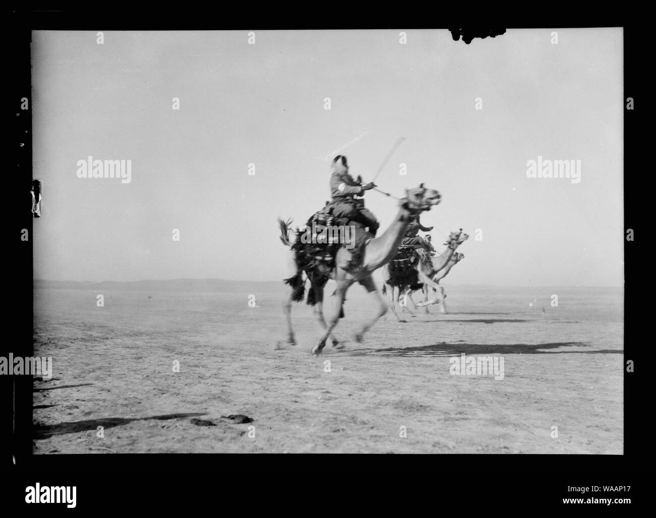 1930 locust campaign Black and White Stock Photos & Images - Alamy