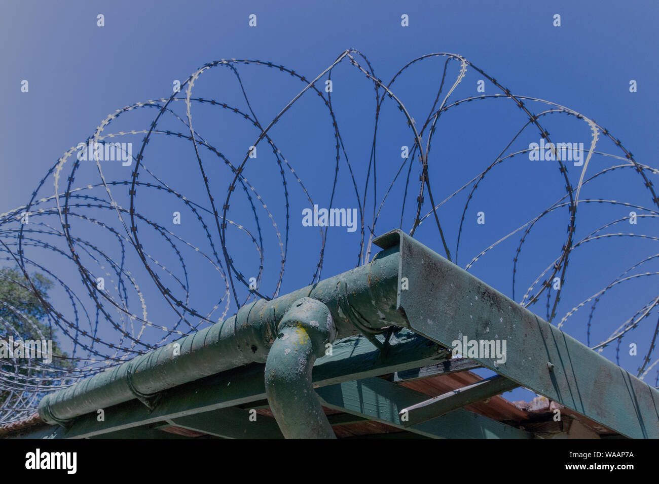 A close up view of large metal barbed wire on top of a old buildings ...