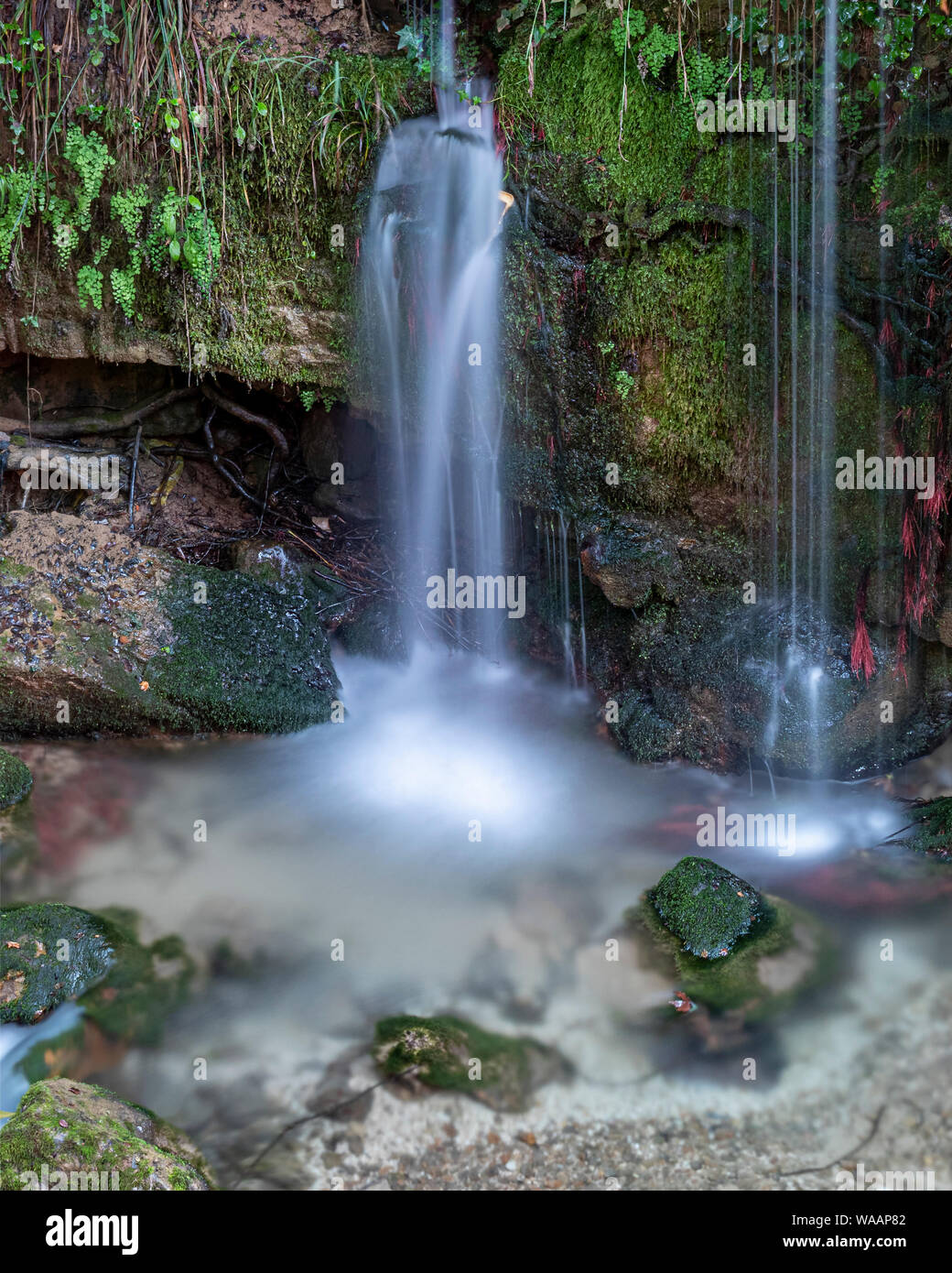 Small mountain waterfall on the rocks covered with moss in the forest ...