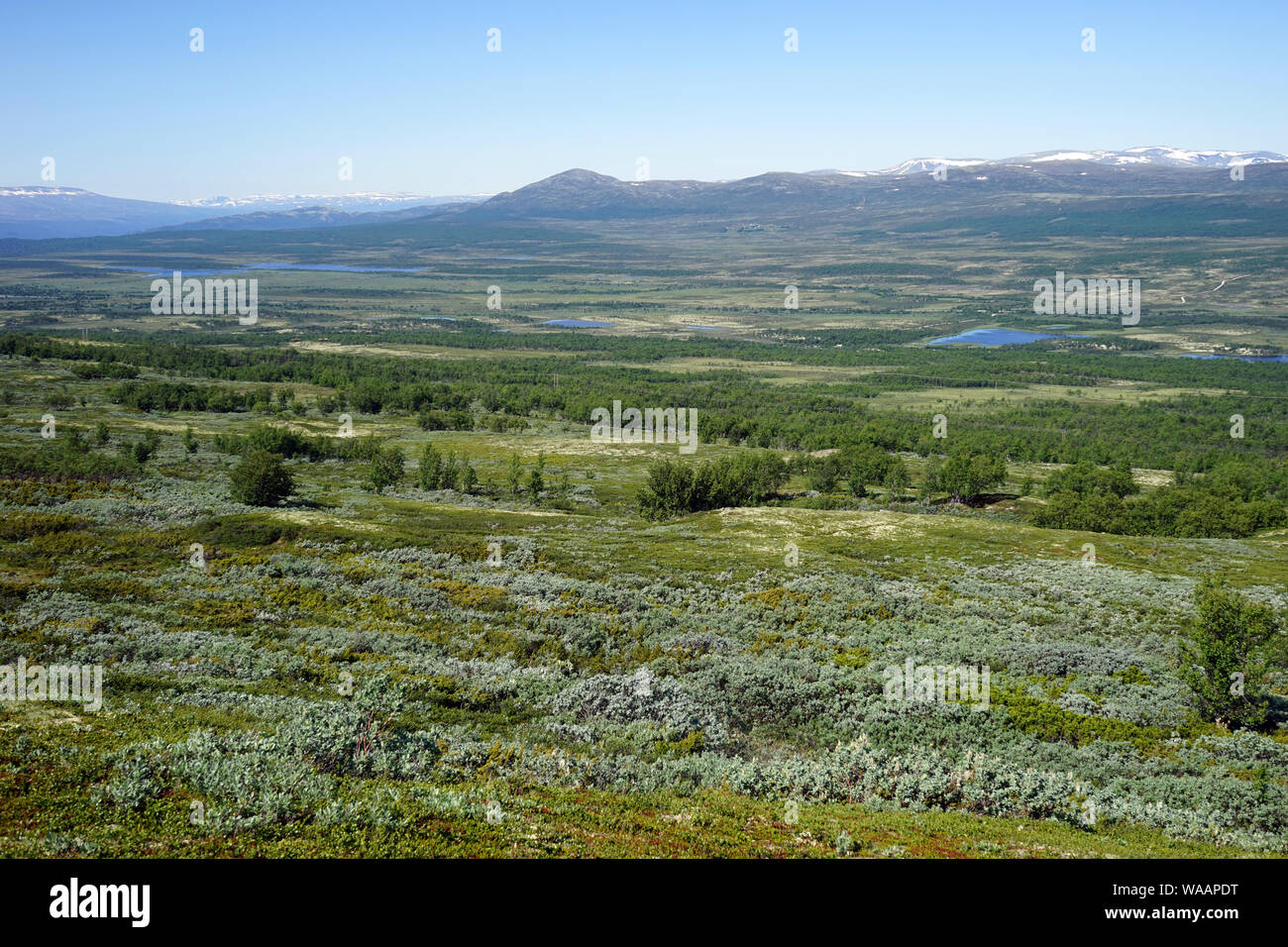 Dovre National Park High Resolution Stock Photography and Images - Alamy