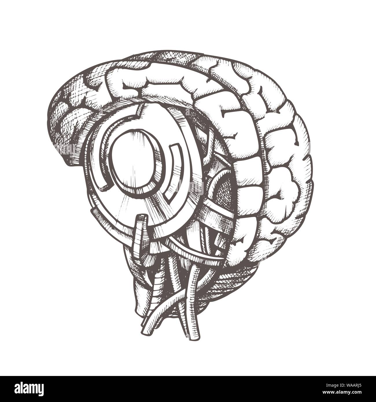 High Technology Robotic Brain Monochrome Vector Stock Vector Image ...