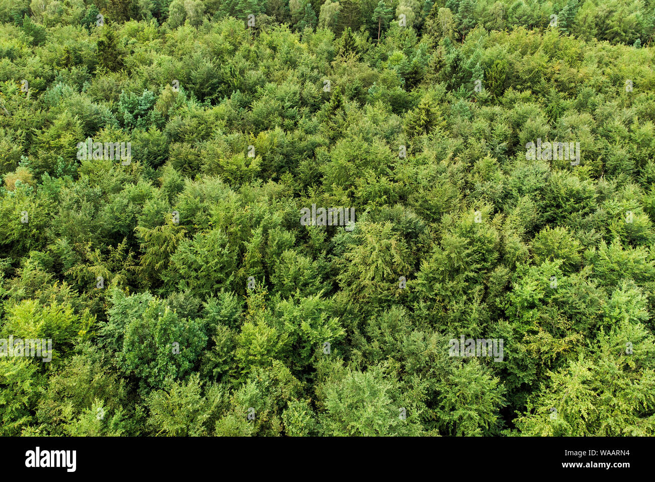 Aerial view from above green hi-res stock photography and images - Alamy