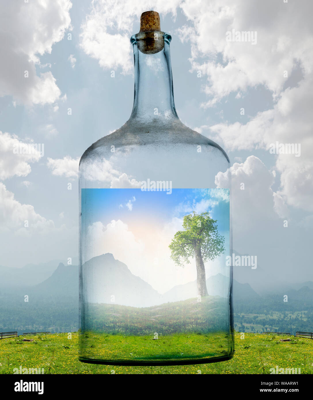 Live nature in a glass bottle Stock Photo - Alamy