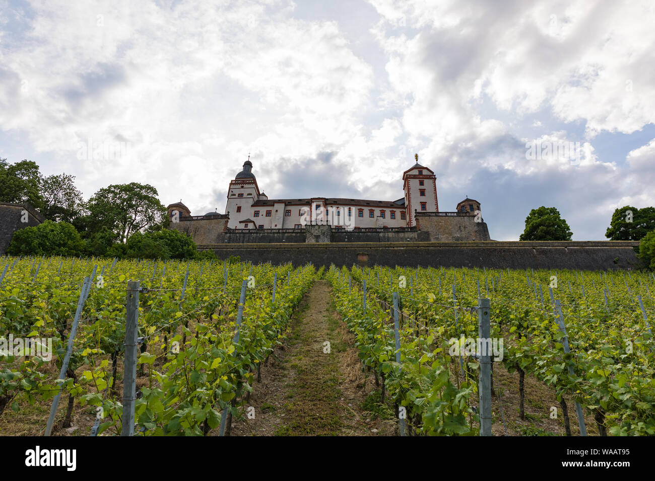 View from vineyardsof the Wuerzburg Fortress Marienberg Bavaria Germany ...