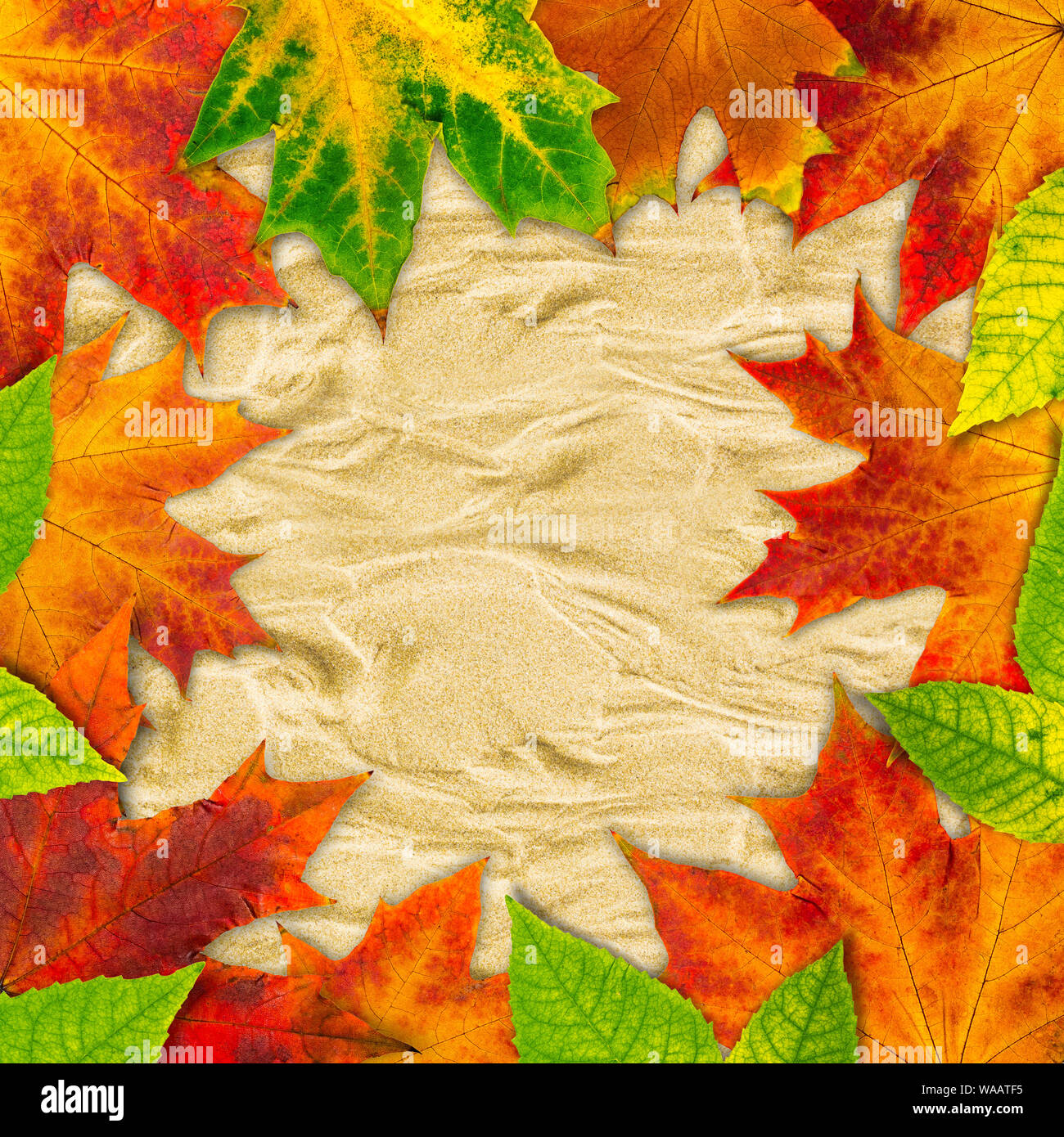 autumn leaves as a frame Stock Photo - Alamy