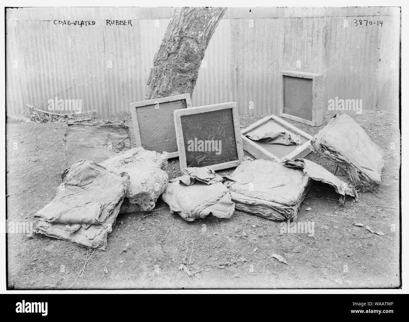 Coagulation of rubber latex hi-res stock photography and images - Alamy