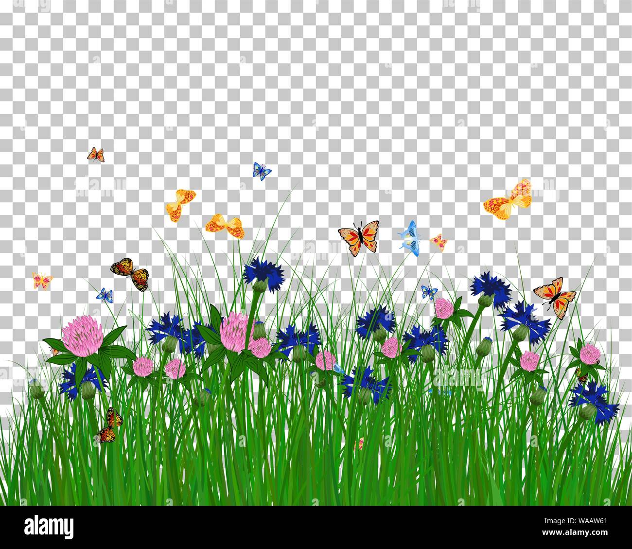 Summer (Spring) Medow. Transparency Grid Background Design. Vector ...