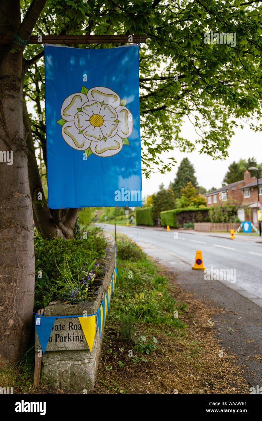 White rose of yorkshire hi-res stock photography and images - Alamy