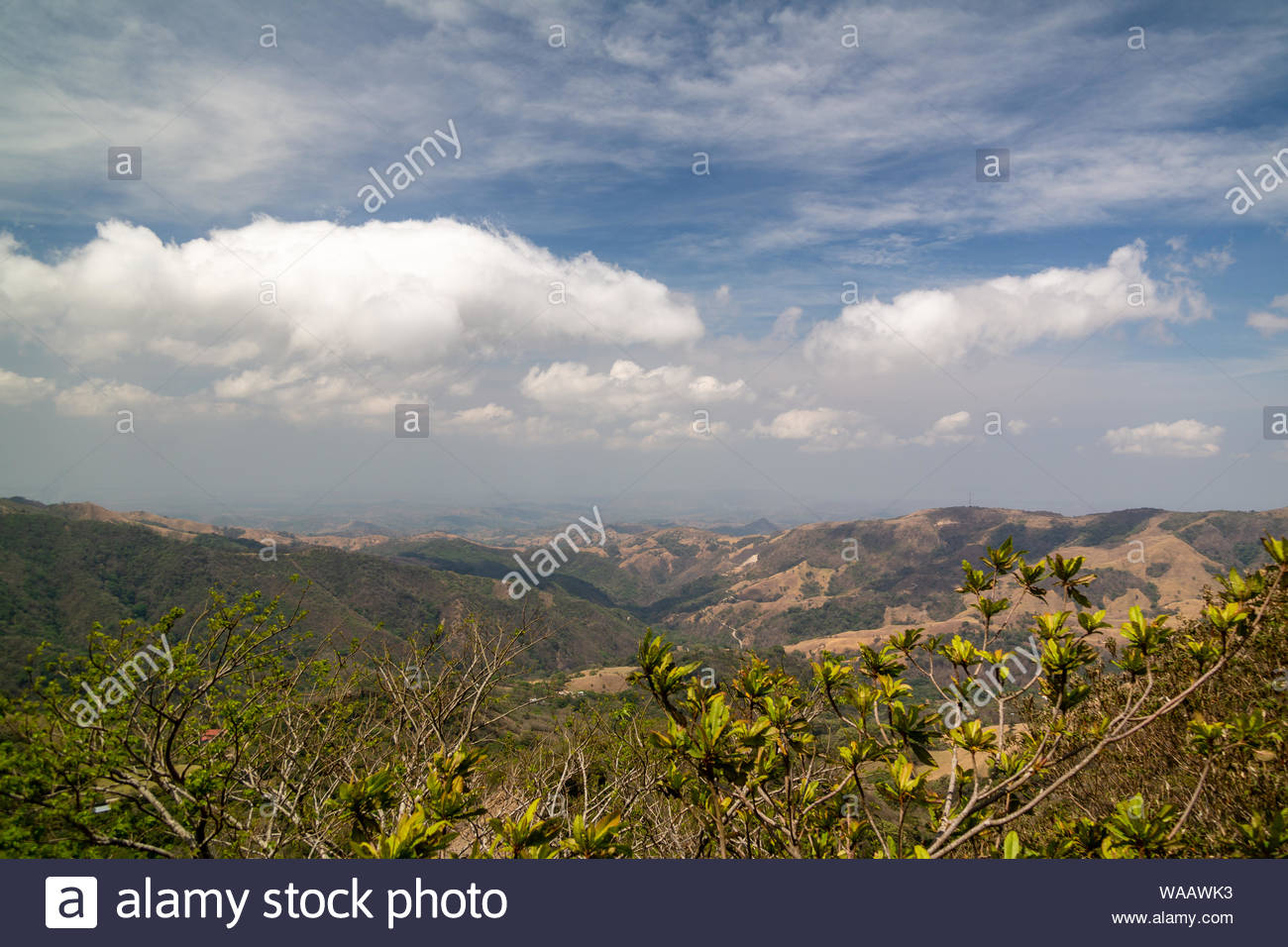 Guanacaste Forest High Resolution Stock Photography and Images - Alamy