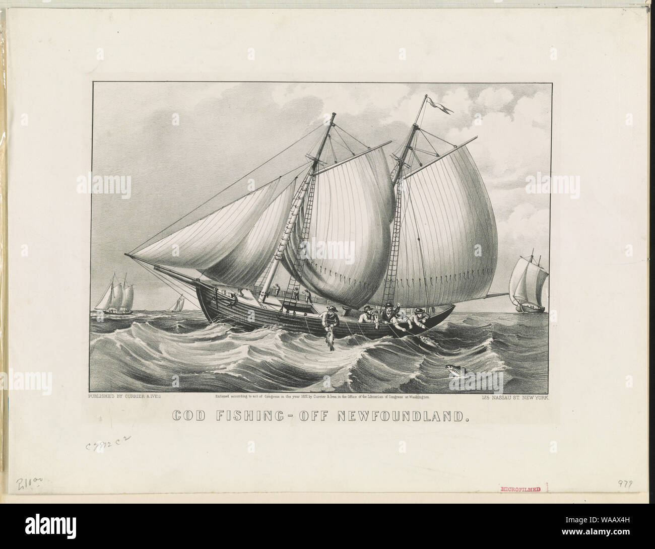 Cod fishing-off Newfoundland Stock Photo - Alamy